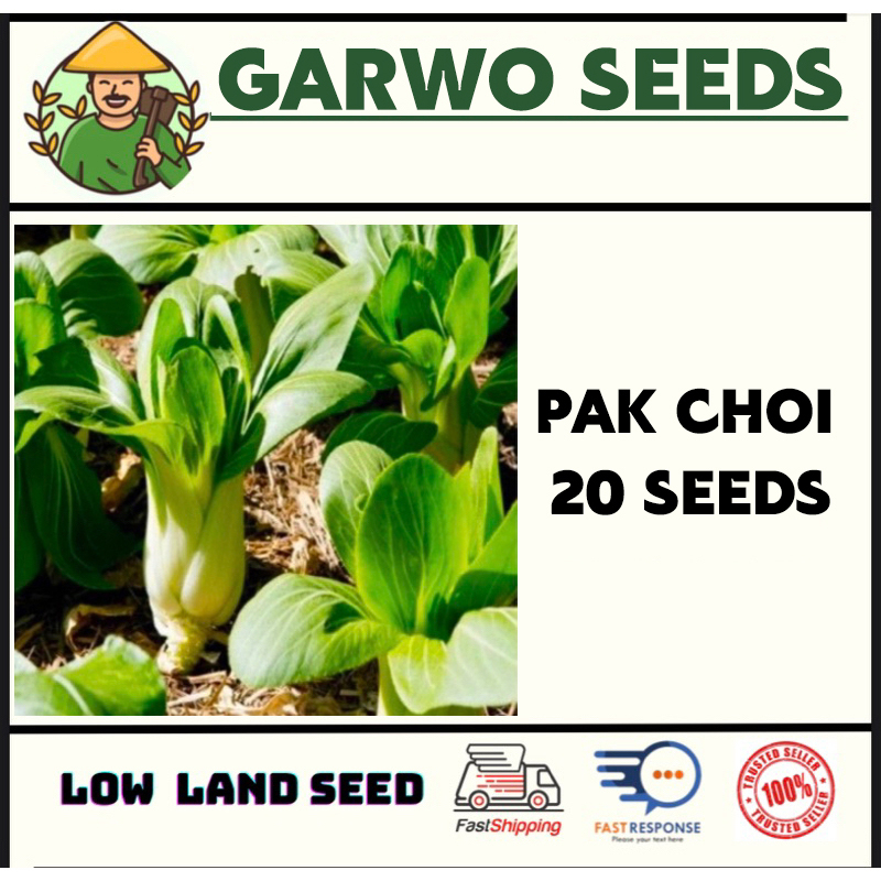 Chinese Pak Choi Bok Choy Vegetable Seeds [High planting rate] | Shopee ...