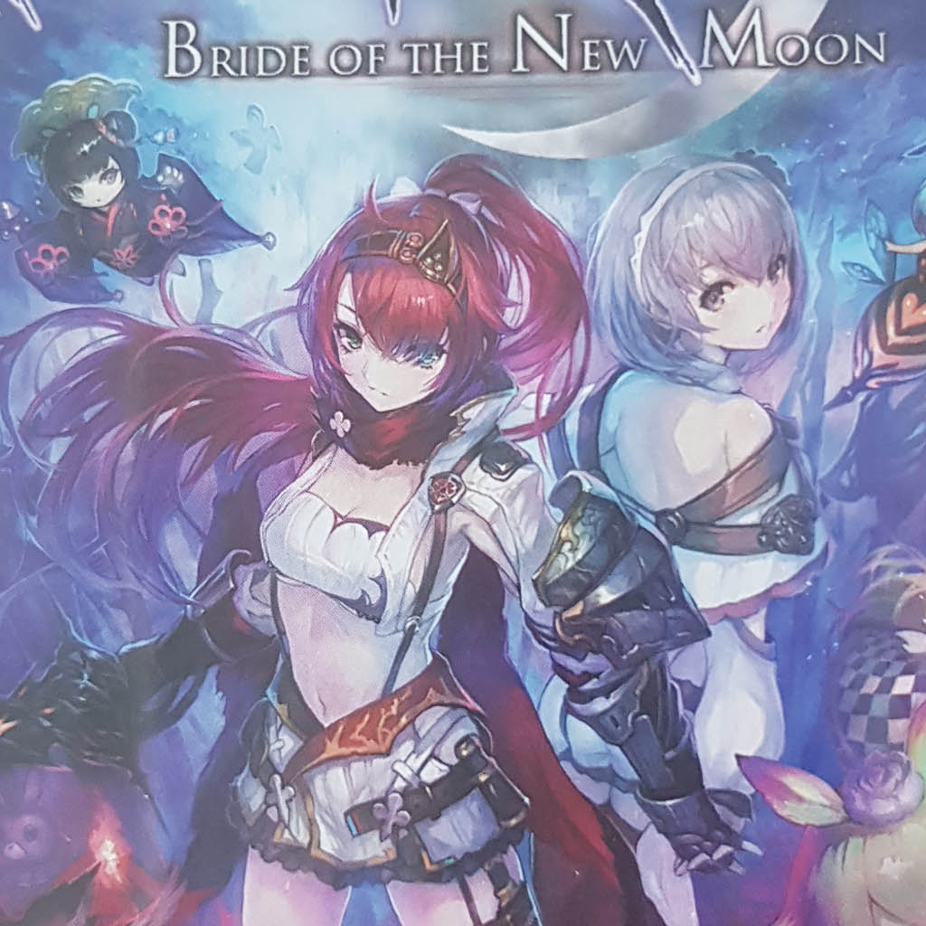 Nights of Azure 2: Bride of the New Moon Nintendo Switch Game US ...
