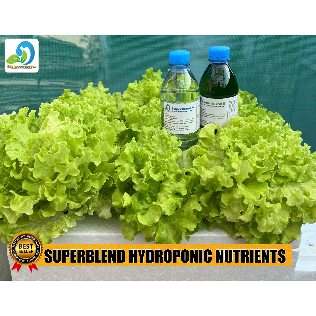 HYDROPONIC NUTRIENT SOLUTION (500ML/1LITER) SUPERBLEND/FOR HYDROPONICS ...