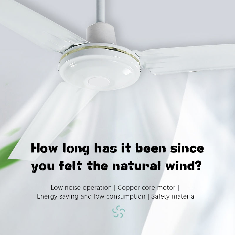 Ceiling fan stainless steel fan 42-56 inch kitchen ceiling fan living ...