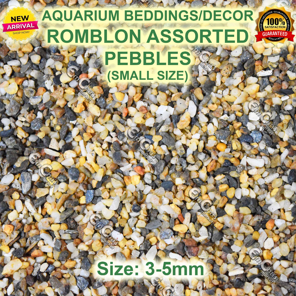 1kg Romblon Assorted Pebbles (SMALL SIZE #5 YELLOW MIXED PEBBLES ...