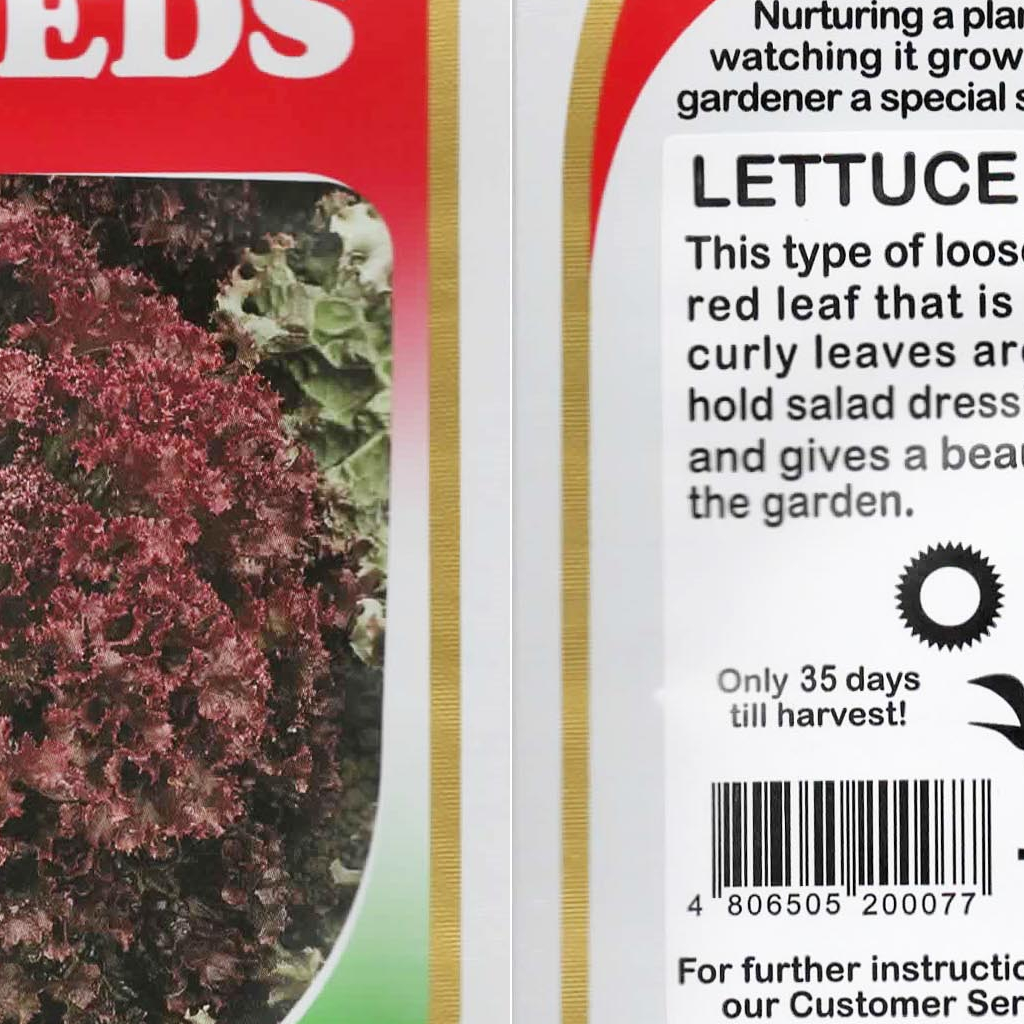 Ramgo & Yates Lettuce Seeds - Sold per Pack per Variety KECORP_S1 ...