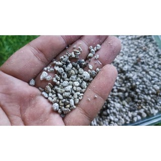 PUMICE STONE FOR TERRARIUM DRAINAGE AND AQUARIUM FILTRATION | Shopee ...