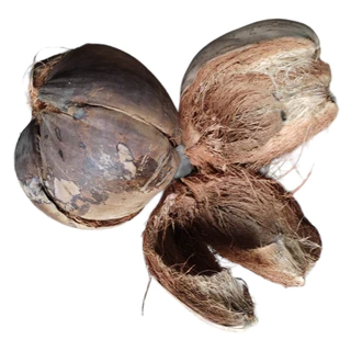 Shop coconut husk for Sale on Shopee Philippines