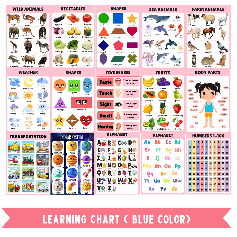 PINK Color A4 Learning Materials and Educational Charts For Kids ...