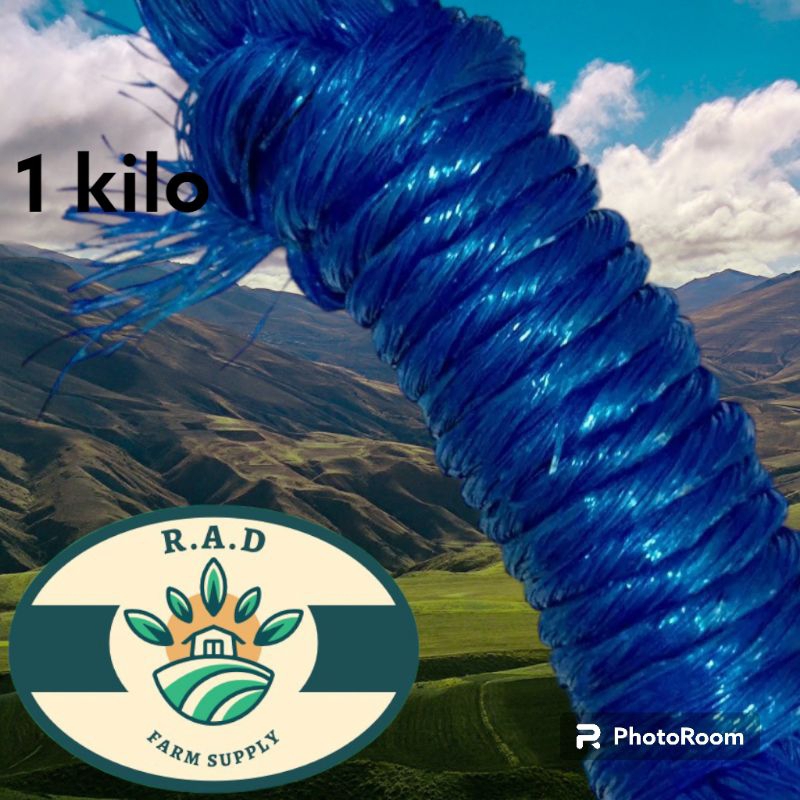 SEWING TWINE/BLUE STRING TANSI 1 KILO BLUE | Shopee Philippines