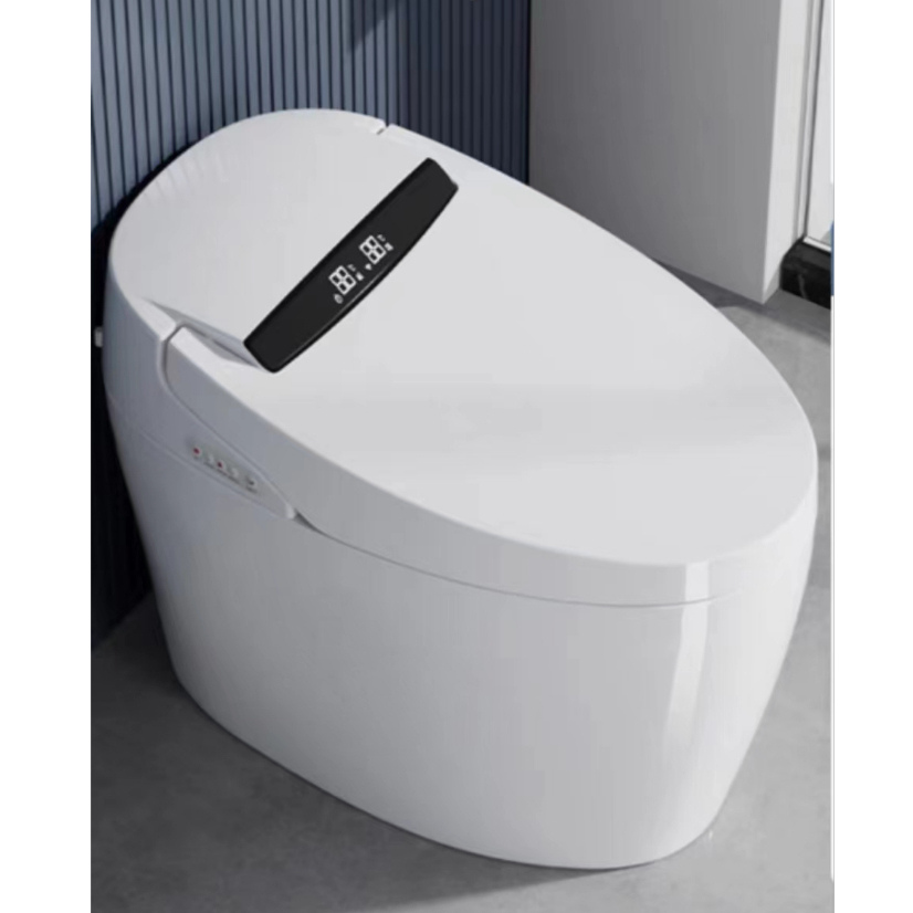 Smart Toilet Multi-Function Ceramic Bathroom Toilet Bowl Dirt Resistant ...