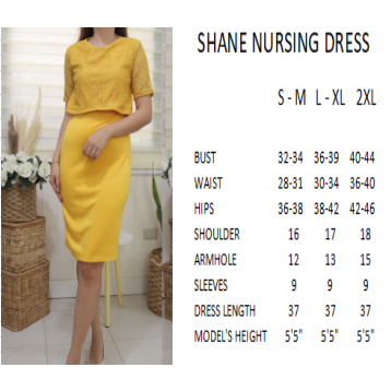 Comfy SHANE Neoprene with Lace, Nursing / Breastfeeding Dress ...
