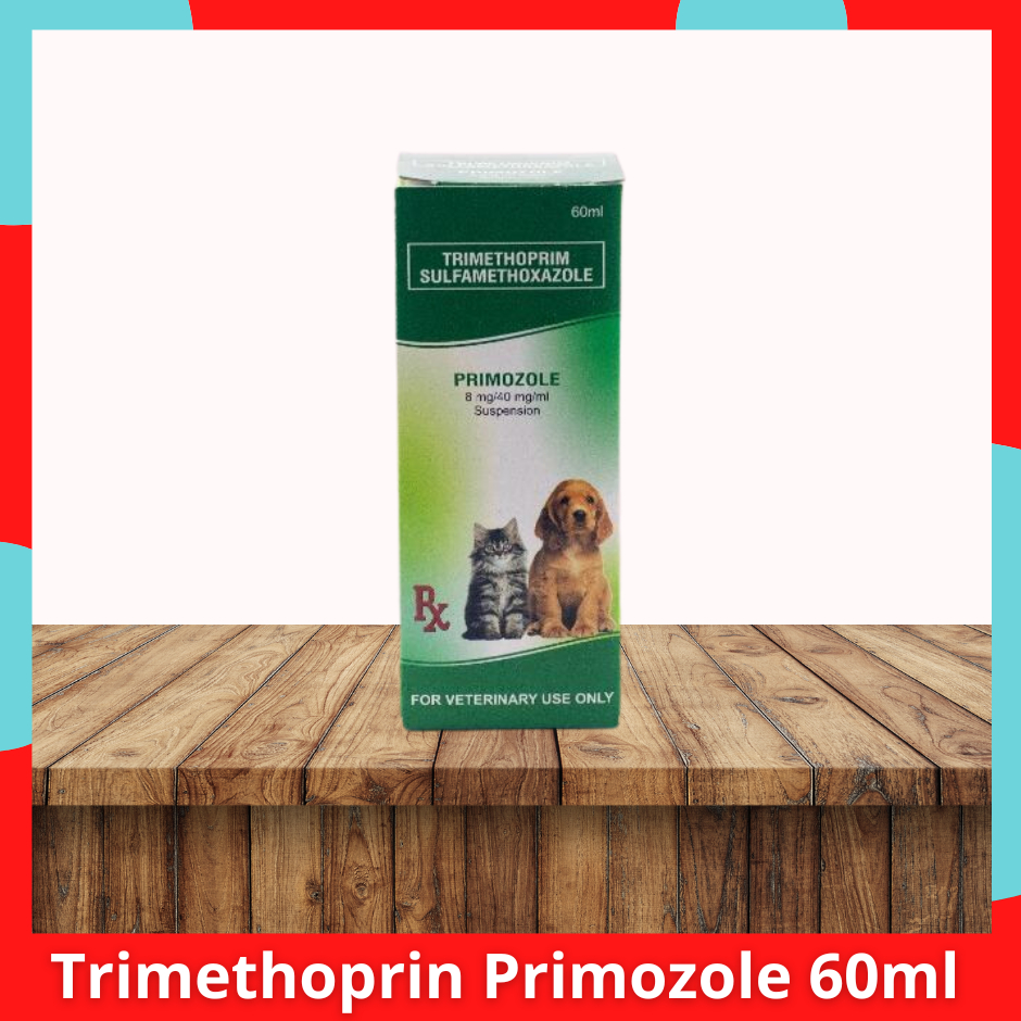 Primozole For Dogs and Cats 60ml | Shopee Philippines