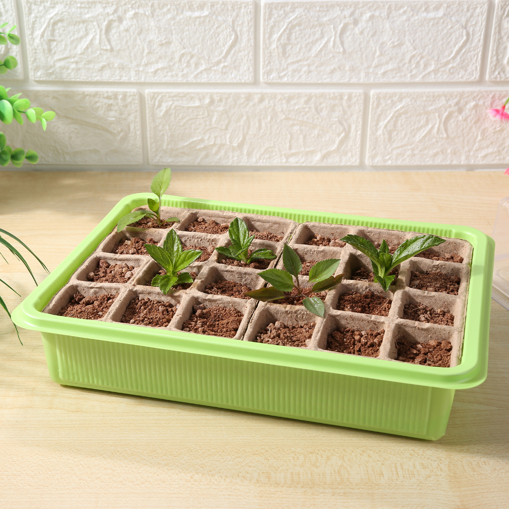 Plant Starter Trays Germination Tray 6PCS Seedling Pots 24-Grid Tray ...