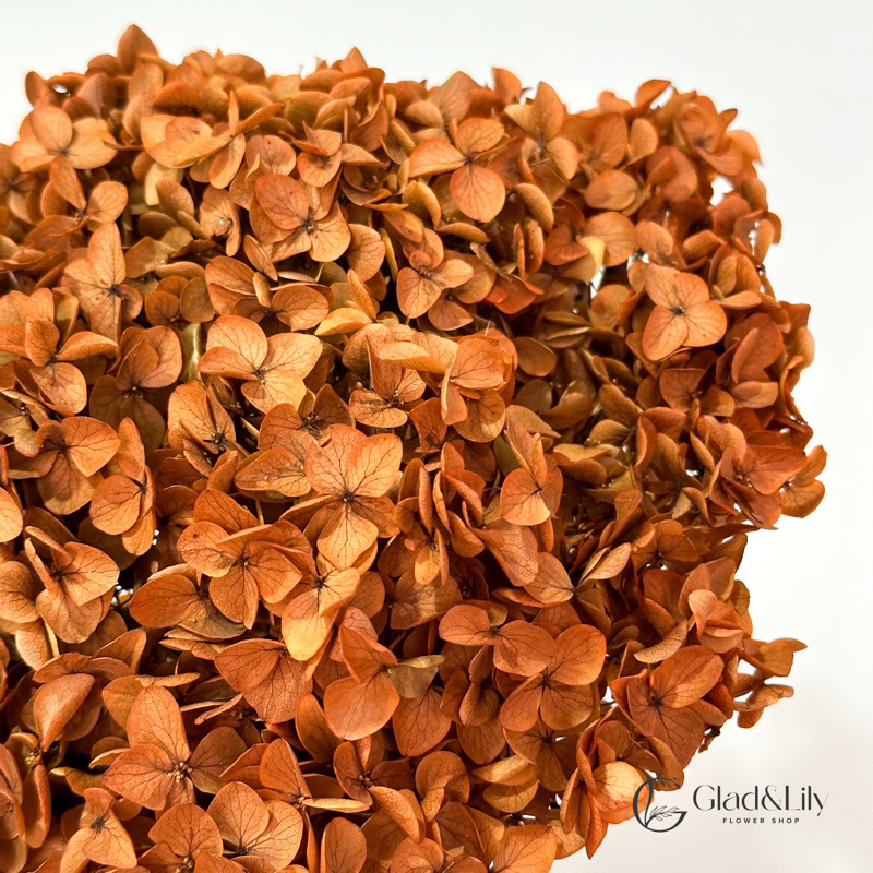 Imported Dried Hydrangeas (mini pack) | Shopee Philippines