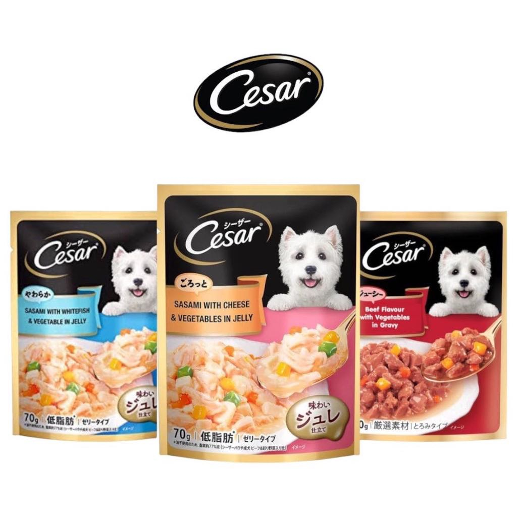 70g Cesar Dog Dogs Food Wet Food Pouch DR Pet Supplies | Shopee Philippines