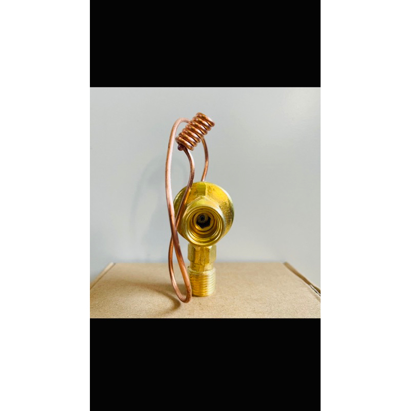 Mitsubishi L300 FB 1999-2022 AC Expansion Valve (3/8 O ring Type ...