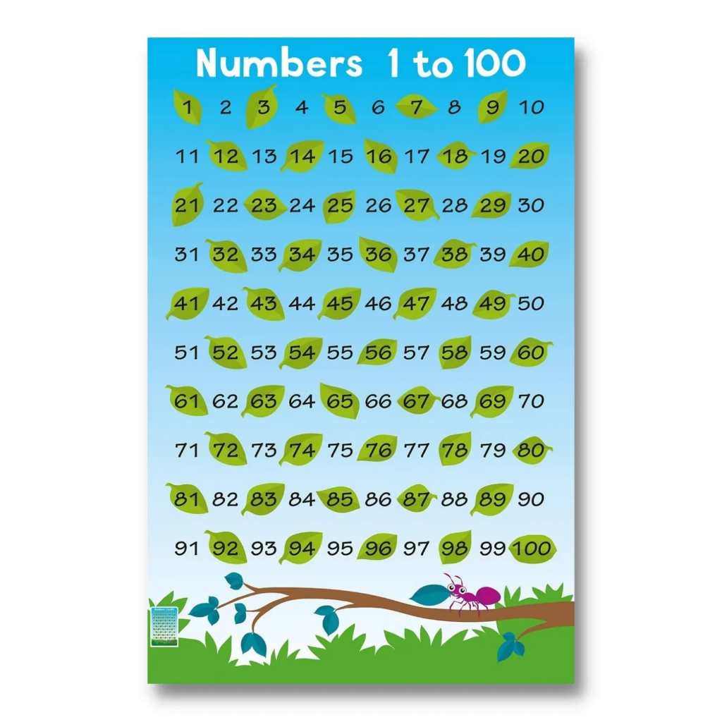 Laminated Human Body, Times Table, Telling Time, Addition Educational ...