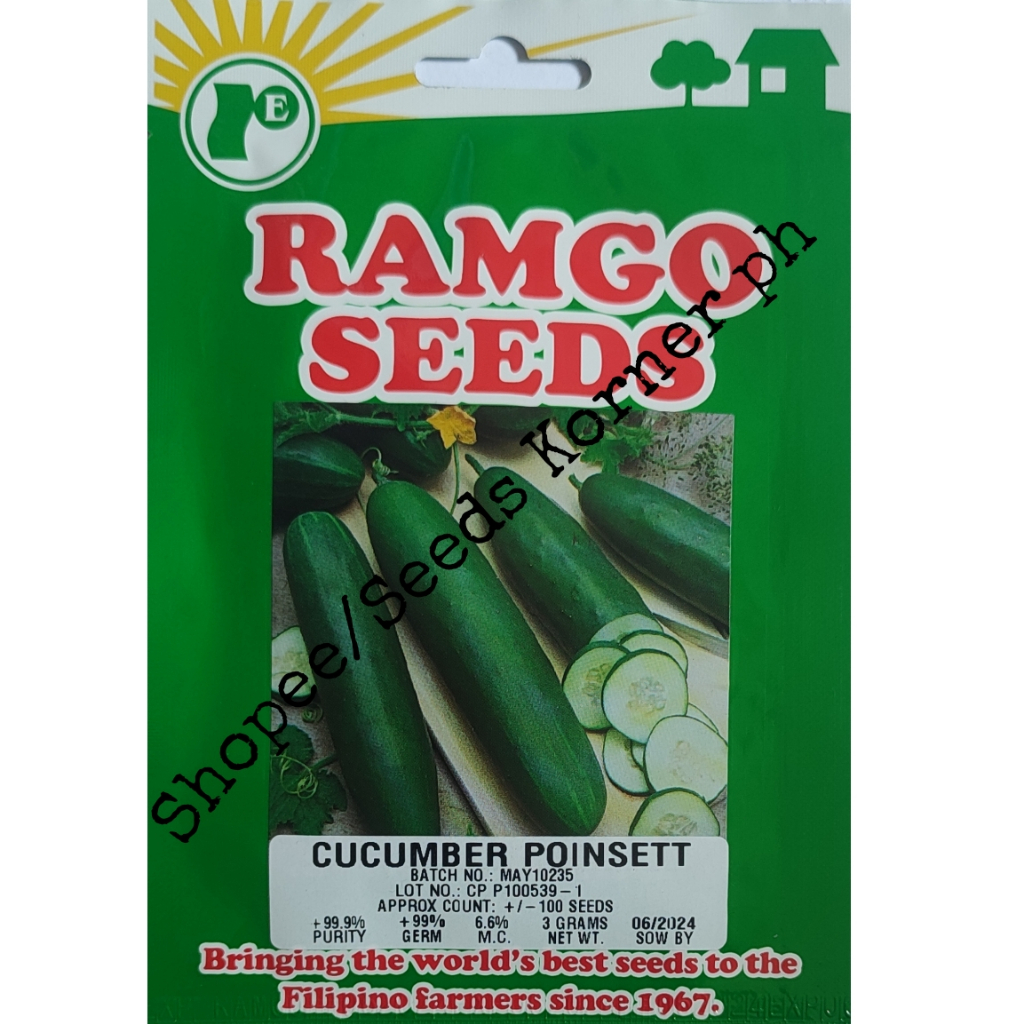 Ramgo Seeds Cucumber Poinsett (Pipino) Original and High Quality ...