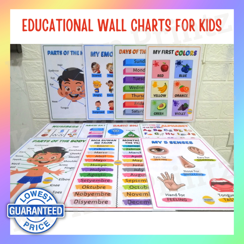 EDUCATIONAL WALL CHARTS for Kids - A4 LAMINATED - 125 Microns | Shopee ...