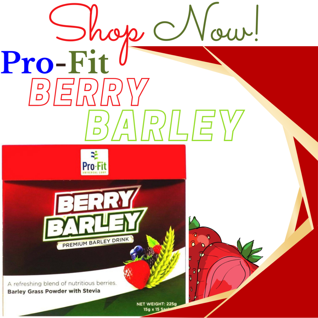 1 BOX BERRY BARLEY - HEALTHY ICED COLD JUICE DRINK (BERRIES and BARLEY ...