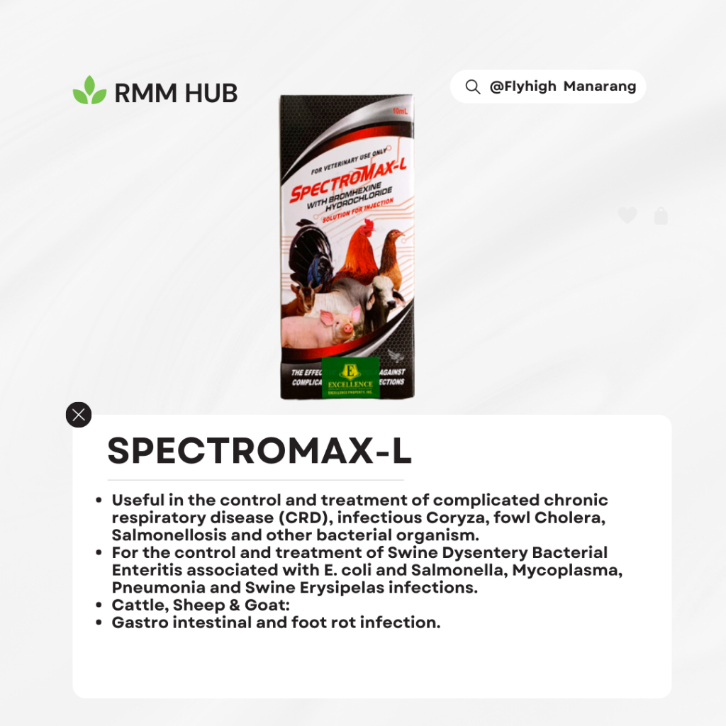 L-Spec Injectable [EXCELLENCE] - RMM HUB (1PC) VR NO. 1228 | Shopee ...