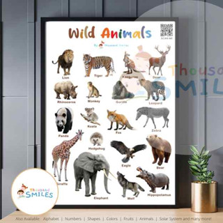 Wild Animals Chart Laminated Wall Poster A4 size for Kids Educational ...