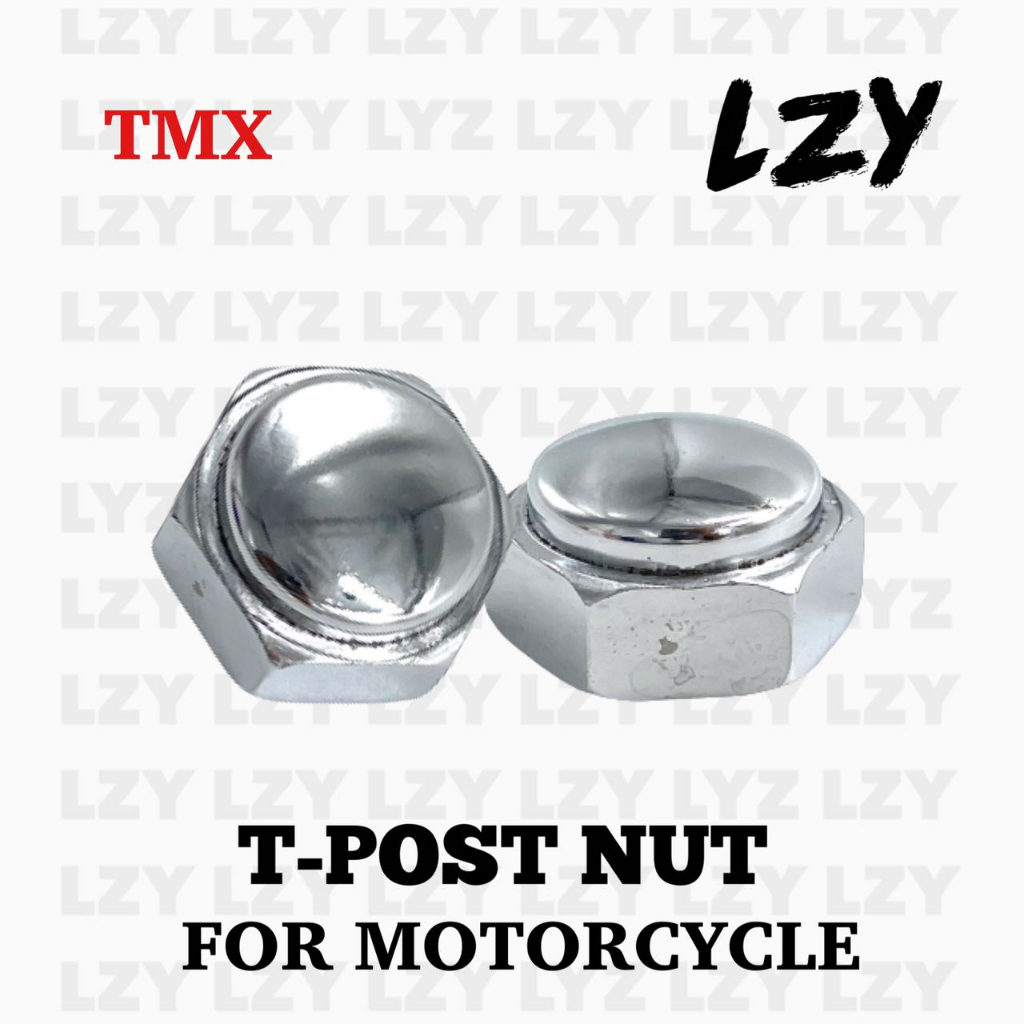 LZY 2PCS Honda TMX 125/155 T-Post Nut Motorcycle | Shopee Philippines