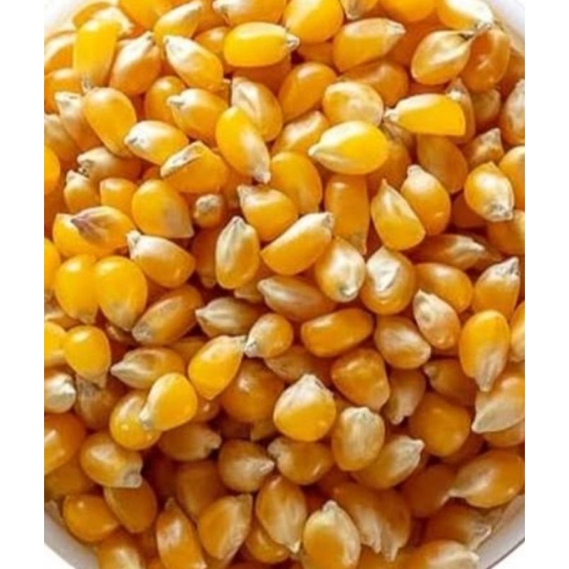 popcorn vacuum pack available 1kls and 1/2 kilos | Shopee Philippines