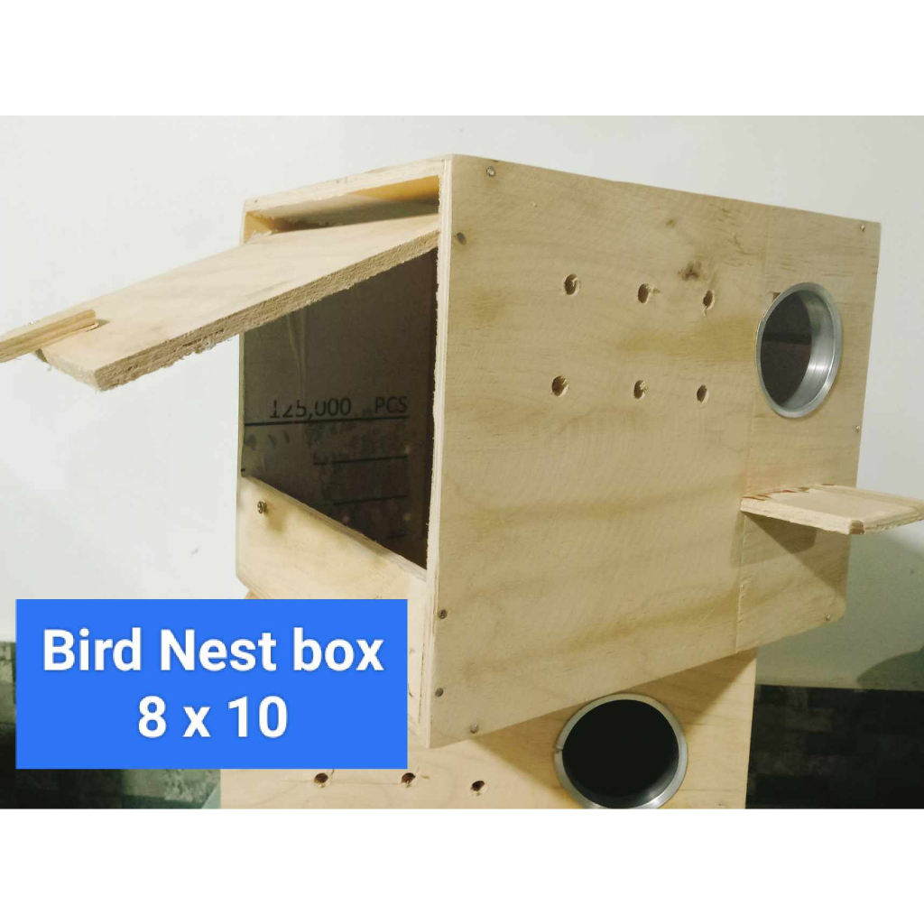 Bird Nest wooden Nest box (fine imported and palochina wood) best for ...