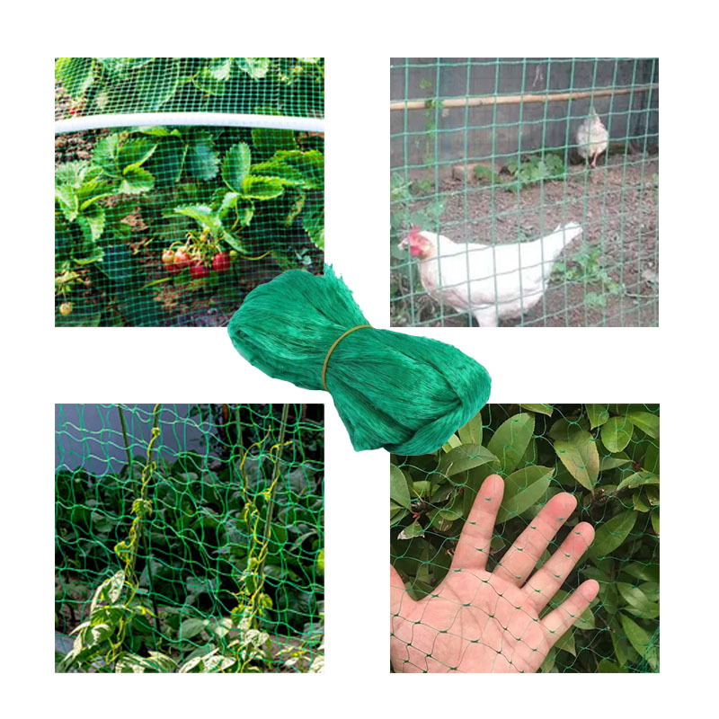 Nylon Green Poultry Chicken Fishing Net Garden Plant Climbing Net ...
