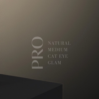 PAULASH PRO (16 styles available, High Quality and Reusable Falsies ...