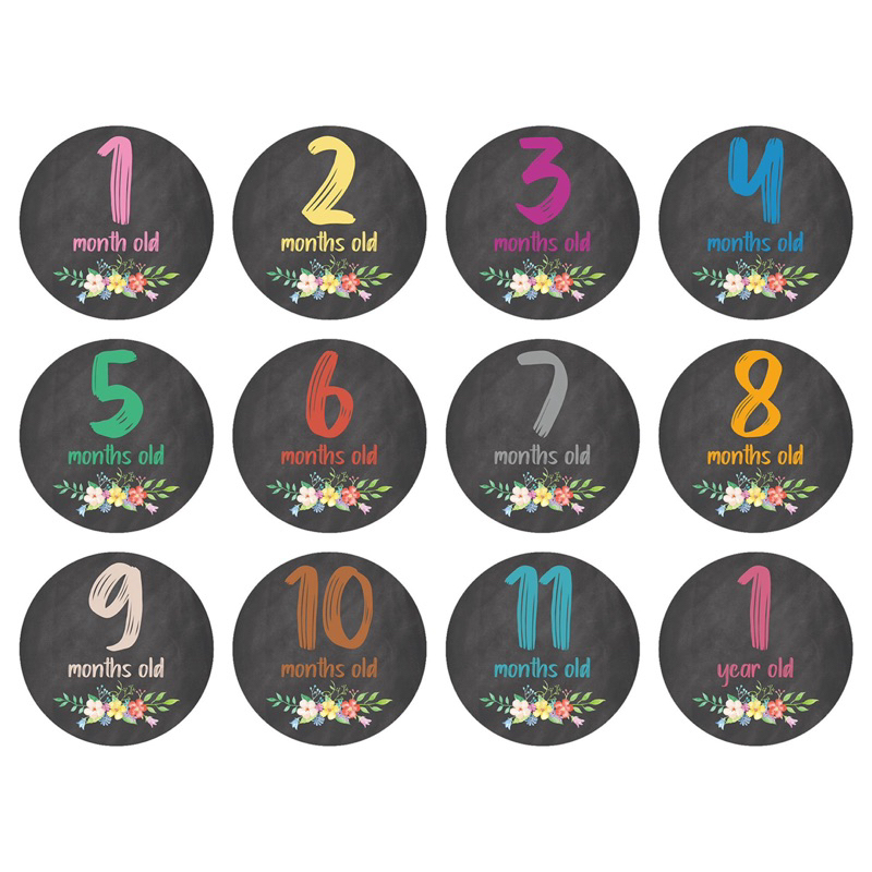 12 months chalkboard Baby Milestone Stickers Monthly Photo Picture ...