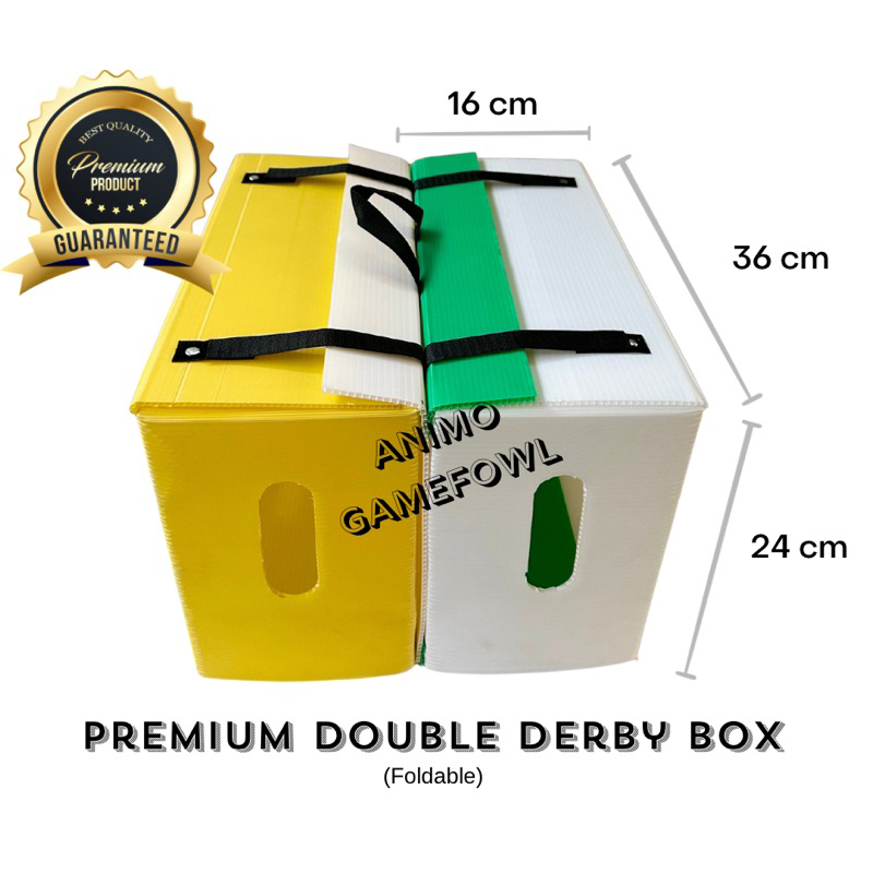 Premium Double Foldable Derby Box / Sabong Box / Gamefowl /Manabong na ...