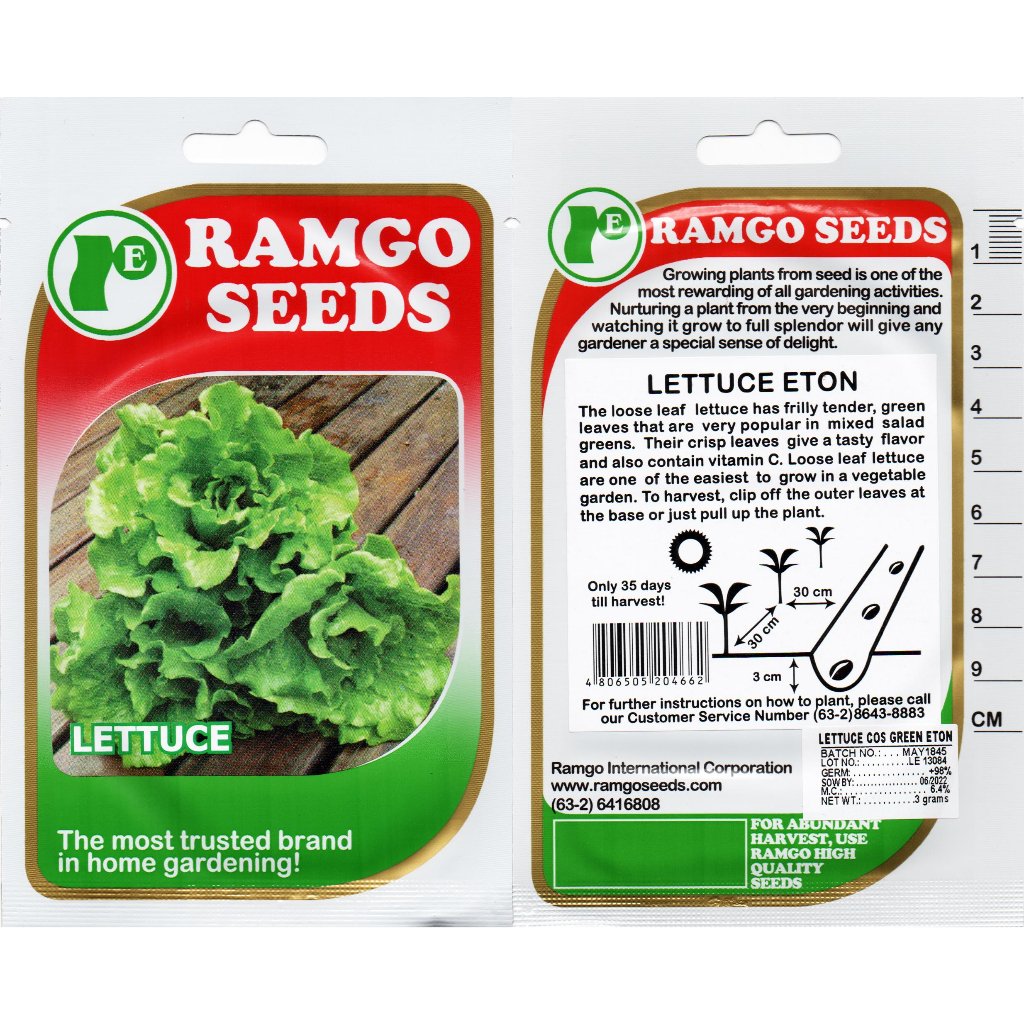Ramgo RPO Seeds Lettuce Eton (Original Pack) 3 grams GDSFPH_S4 | Shopee ...