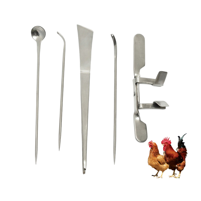 5Pcs Caponizing Set for Chicken Stainless Steel Poultry Capon Kit Tool ...