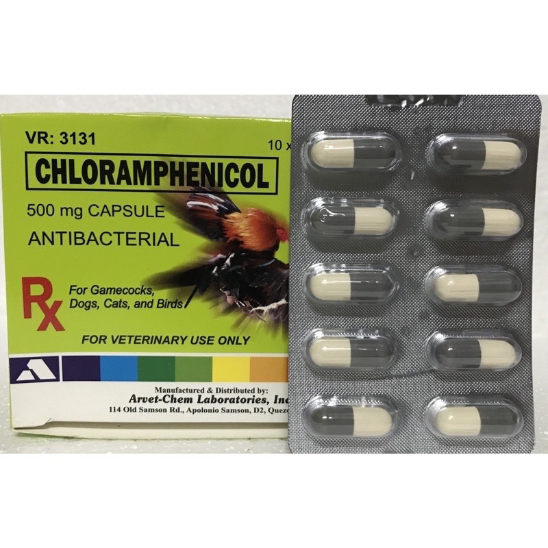 CHLORAMPHENICOL 500MG CAPSULE - ANTIBACTERIAL (Sold by 10s) | Shopee ...