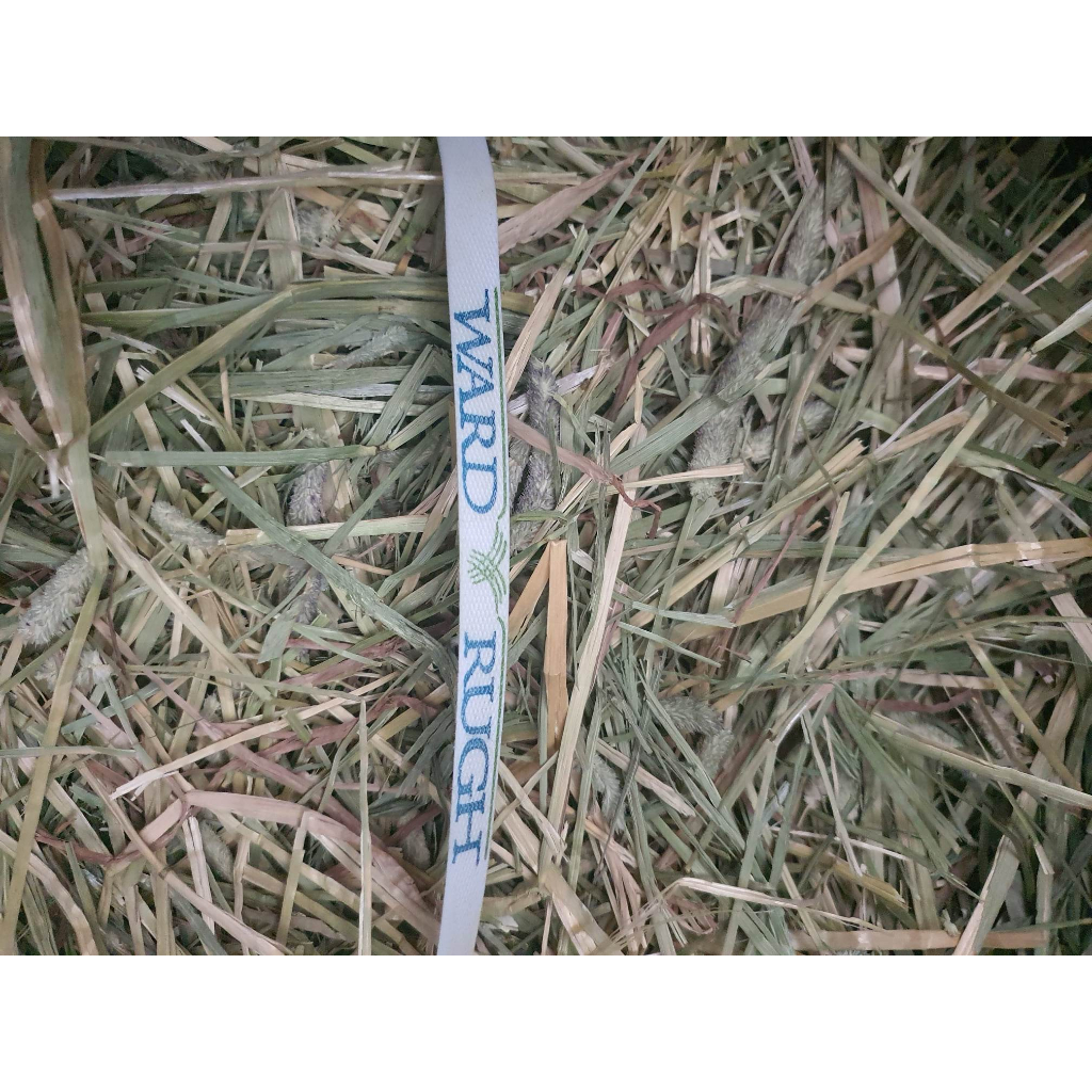 Premium Timothy Hay and Standard Timothy Hay in Resealable Plastic ...