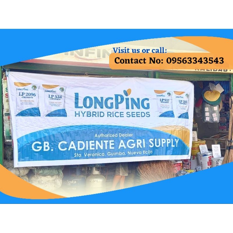 3kg LongPing 2096 | 937 | 534 | 908 Hybrid Rice Seed | Guaranteed ...