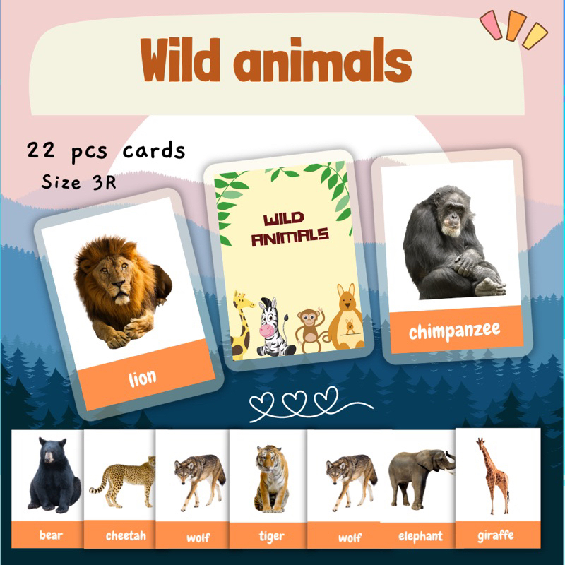 Wild animals insects farm animals sea animals educational flash cards ...