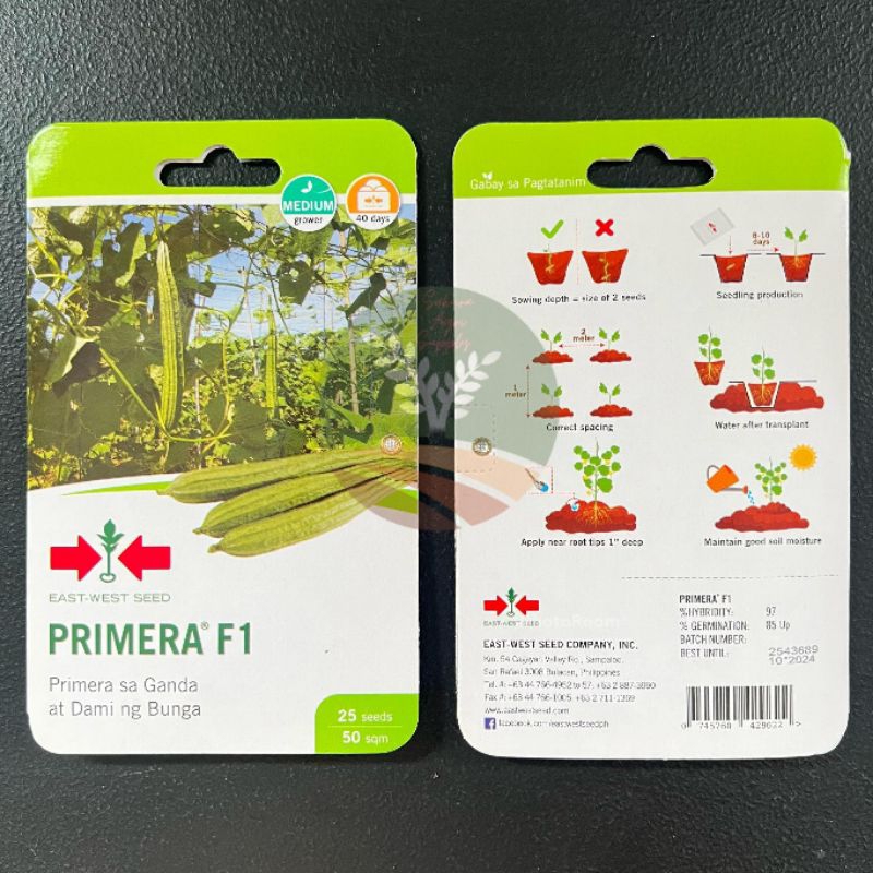 PRIMERA F1 EAST WEST SEED HYBRID RIDGE GOURD PATOLA VEGETABLE SEEDS GO ...