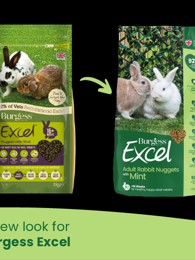 Burgess Excel Pellet for Rabbit, Guinea Pig | Shopee Philippines