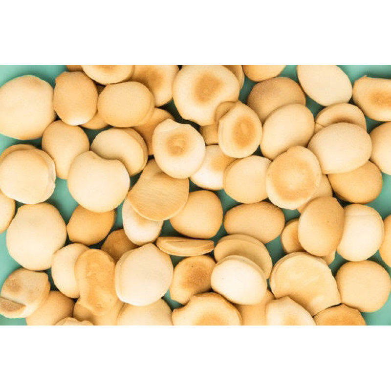 Paborita Biscuits of Laguna | Shopee Philippines