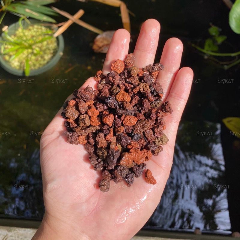 BLACK SAND LAVA BITS LAVA ROCK SUBSTRATE | Shopee Philippines