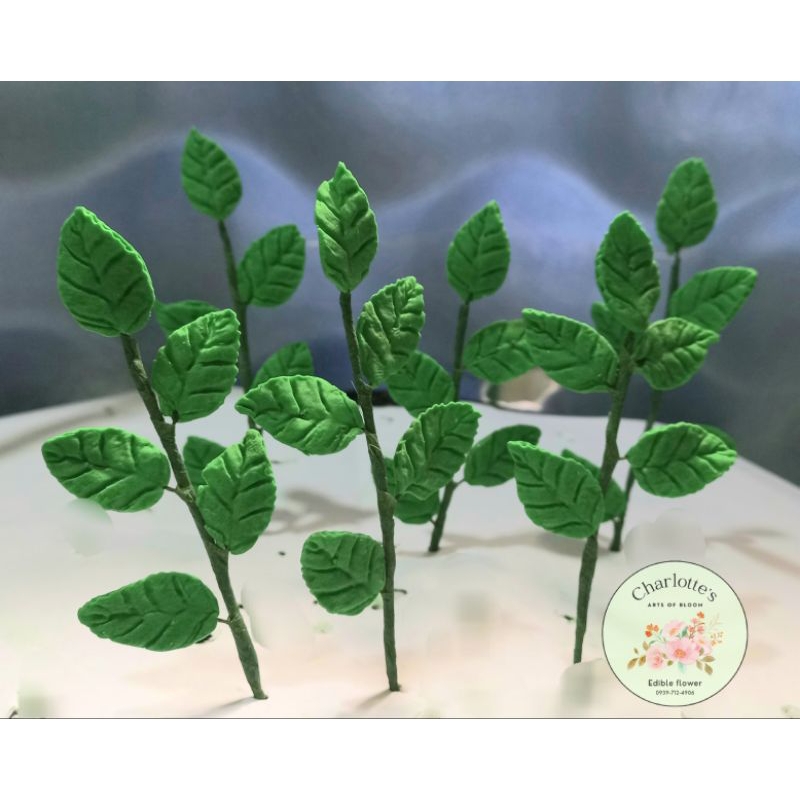 EDIBLE GUMPASTE TINY LEAVES FOR CAKE DECORATIONS (5 tiny leaves in ...
