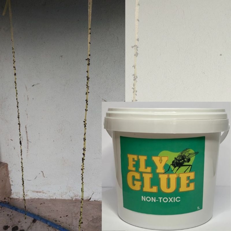 Fly Glue 1L (Sticky Fly Trap) | Shopee Philippines