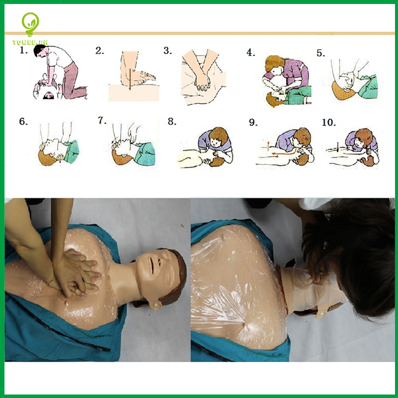 ZC CPR AED First Aid Training Dummy Manikin Cardiopulmonary ...