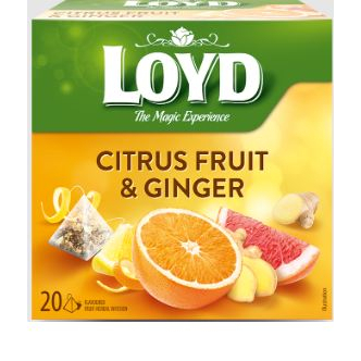 LOYD CITRUS FRUIT and GINGER (2gm*20Teabags) | Shopee Philippines