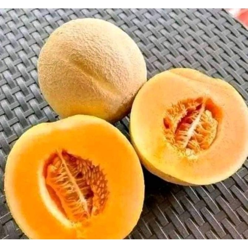 MELON HONEY DEW YELLOW SEEDS 5SEEDS | Shopee Philippines
