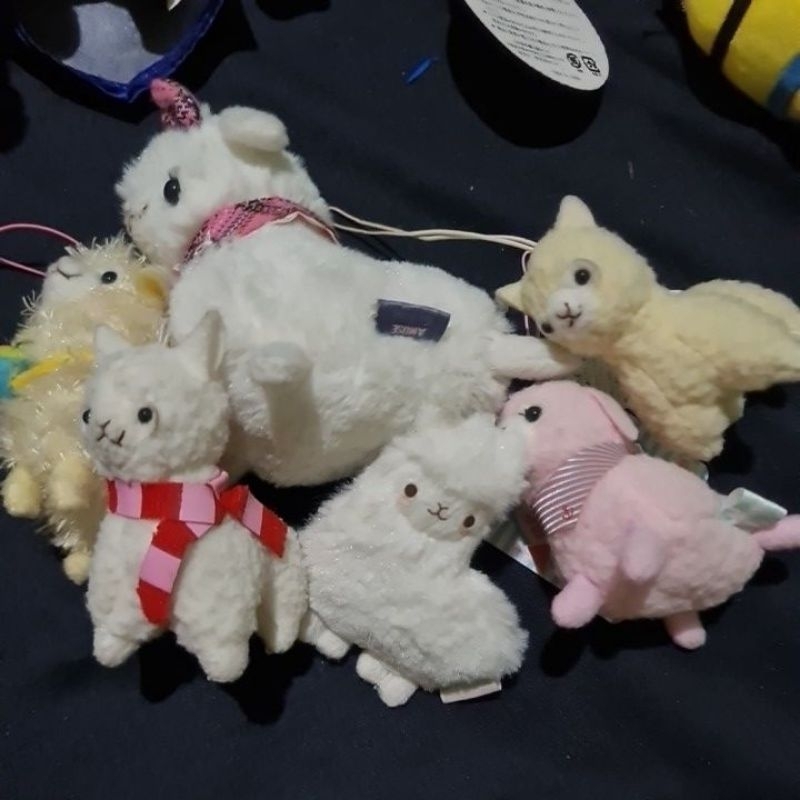 AMUSE ALPACASSO CUTEY | Shopee Philippines