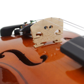 RIXTON Professional Music Violin 4/4 Full Set of Rosin Free Packaging ...