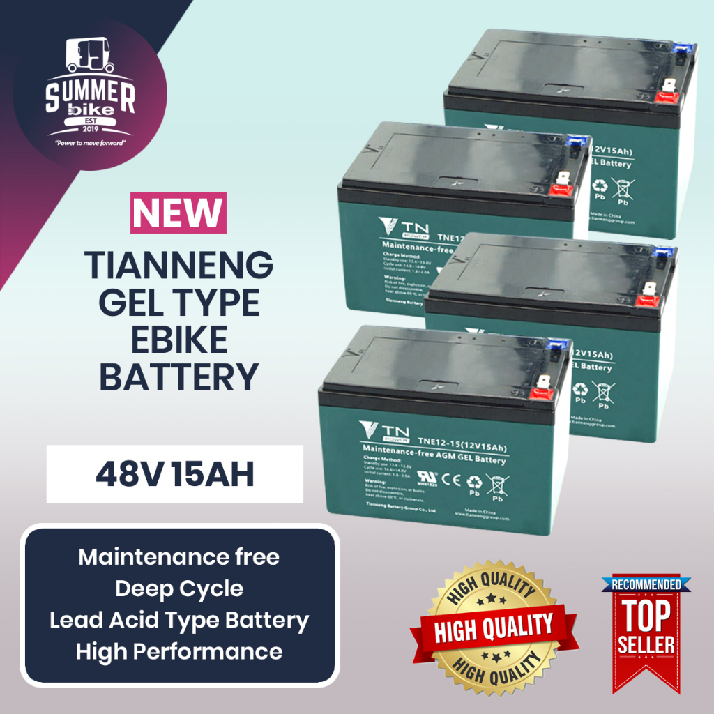 Ebike Battery 48v 12.3ah AGM Gel type SET compatible with 48v 15ah ...