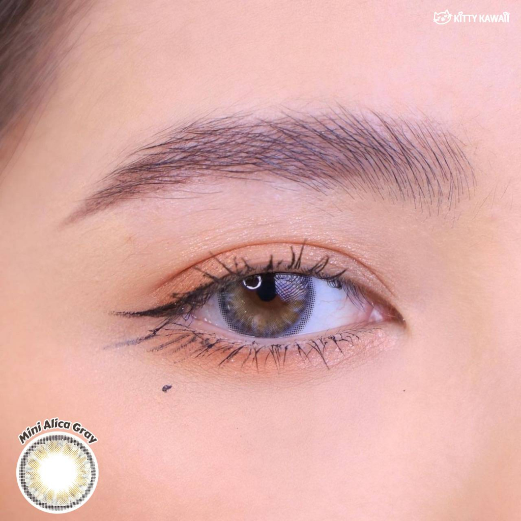 Kitty Kawaii 6 Months Mini Alica Gray Contact Lens + Free Lens Case ...