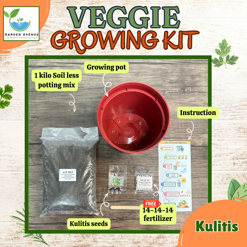KULITIS GROWING KIT - READY TO USE/COMPLETE PACKAGE/POT/SOIL/SEEDS ...